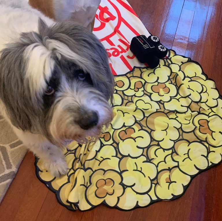 Teddy Celebrated his Screen Debut