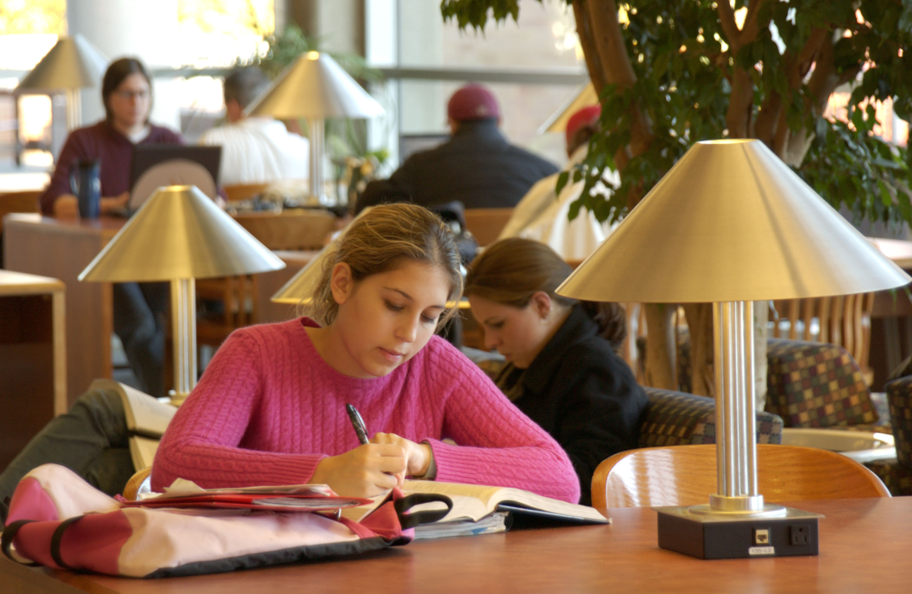 Making students’ voices heard at the library | News